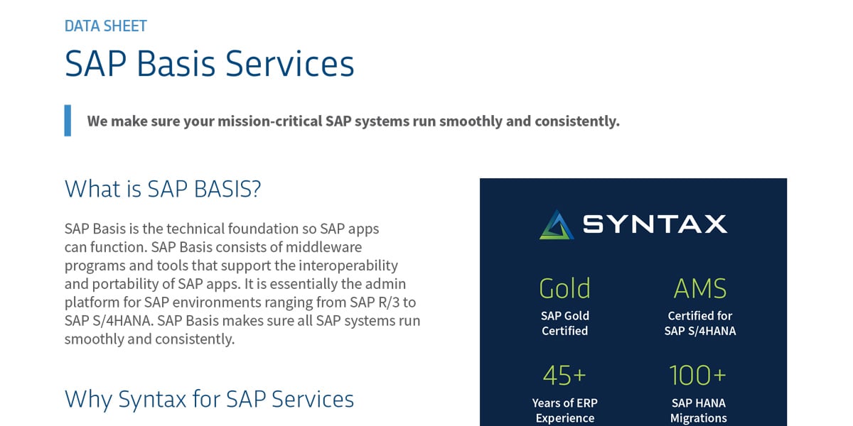 Syntax SAP Basis Services:Data Sheet